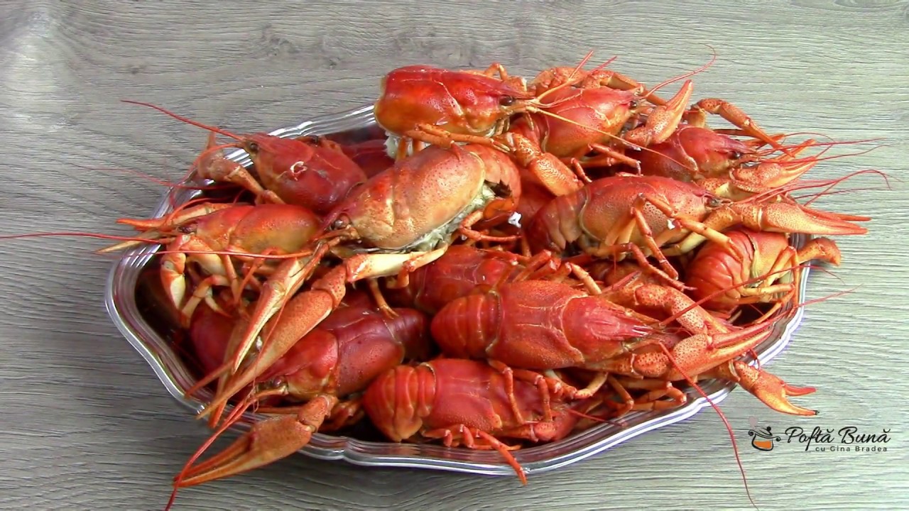 Raci fierți mărimea medie cu livrare în Chișinău la doar 339 lei